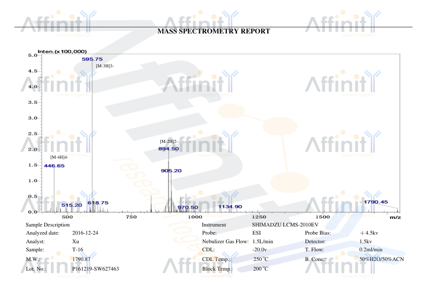 Phospho-MSK1 (Ser360) Antibody | Affinity Biosciences
